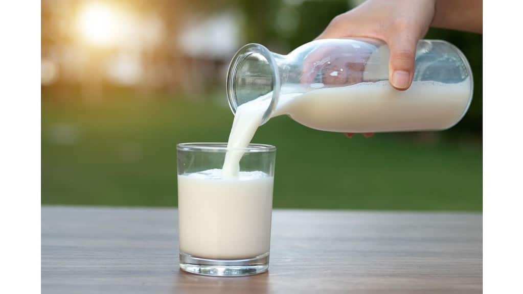 Can You Microwave Milk? (Get the Details) - Practical Cooks