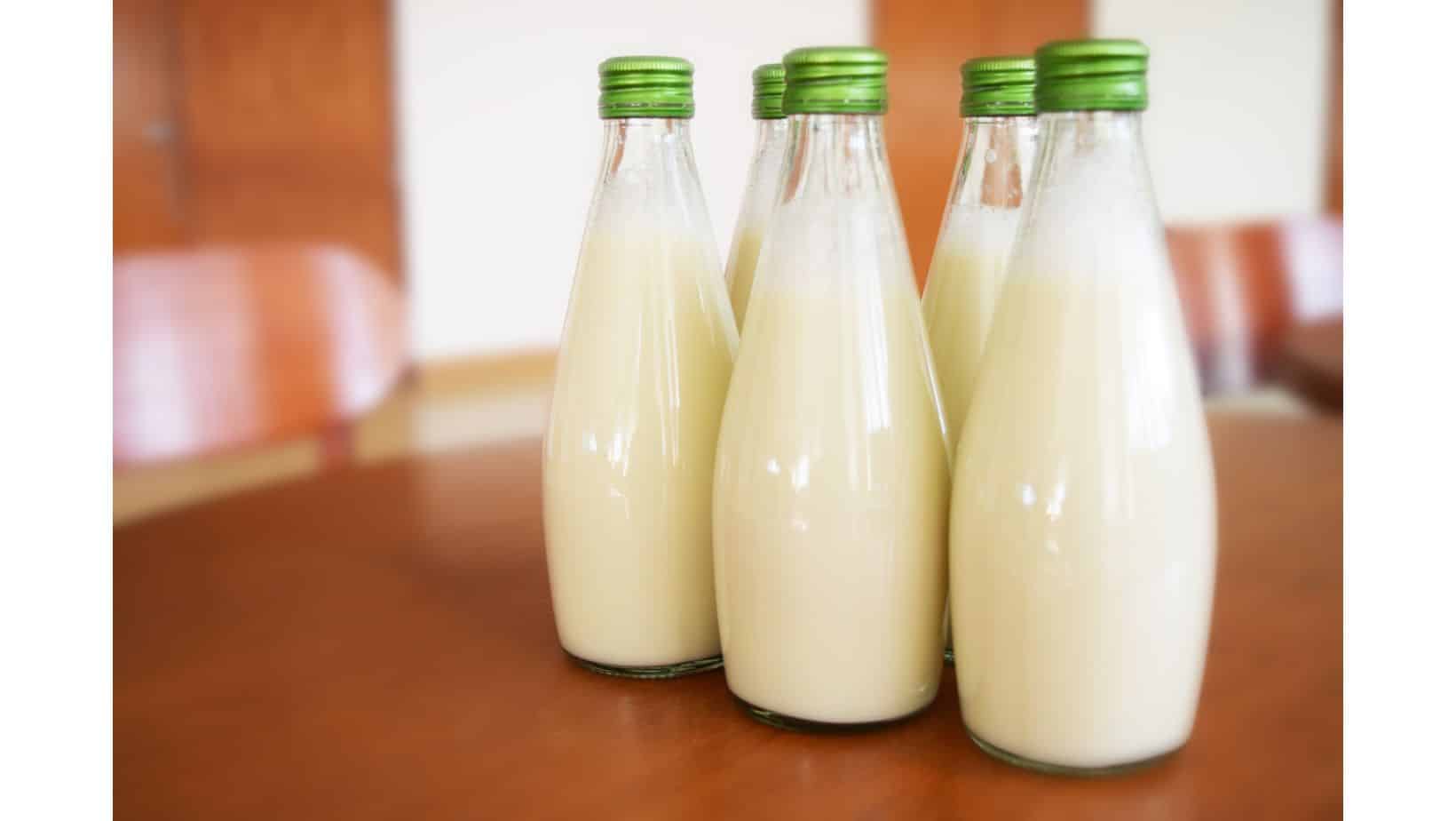 Can You Drink A Gallon Of Milk In An Hour? - Practical Cooks