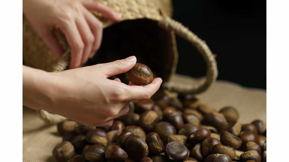 Can You Reheat Cooked Chestnuts? - Practical Cooks