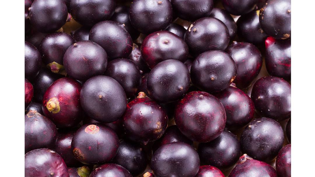 39 Foods With Four Letters - Practical Cooks