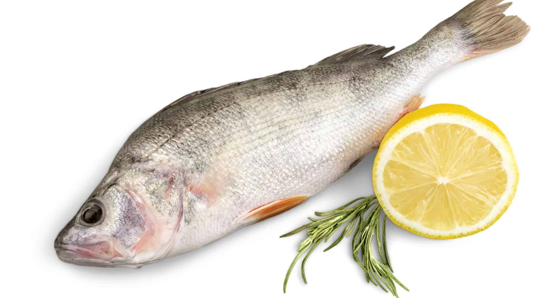 39 Foods With Four Letters - Practical Cooks