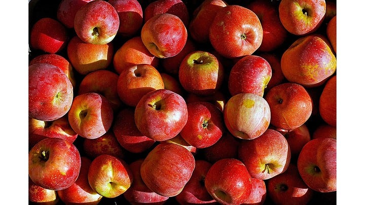 Here Are 19 Of The Sweetest Apples (From Sweet to Tart) - Practical Cooks