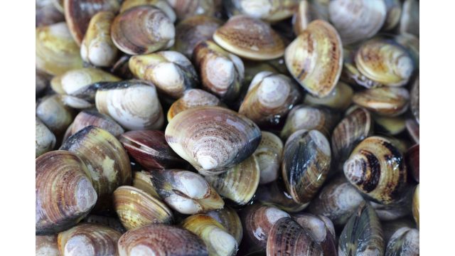 25 Popular Foods That Are Gray – Practical Cooks