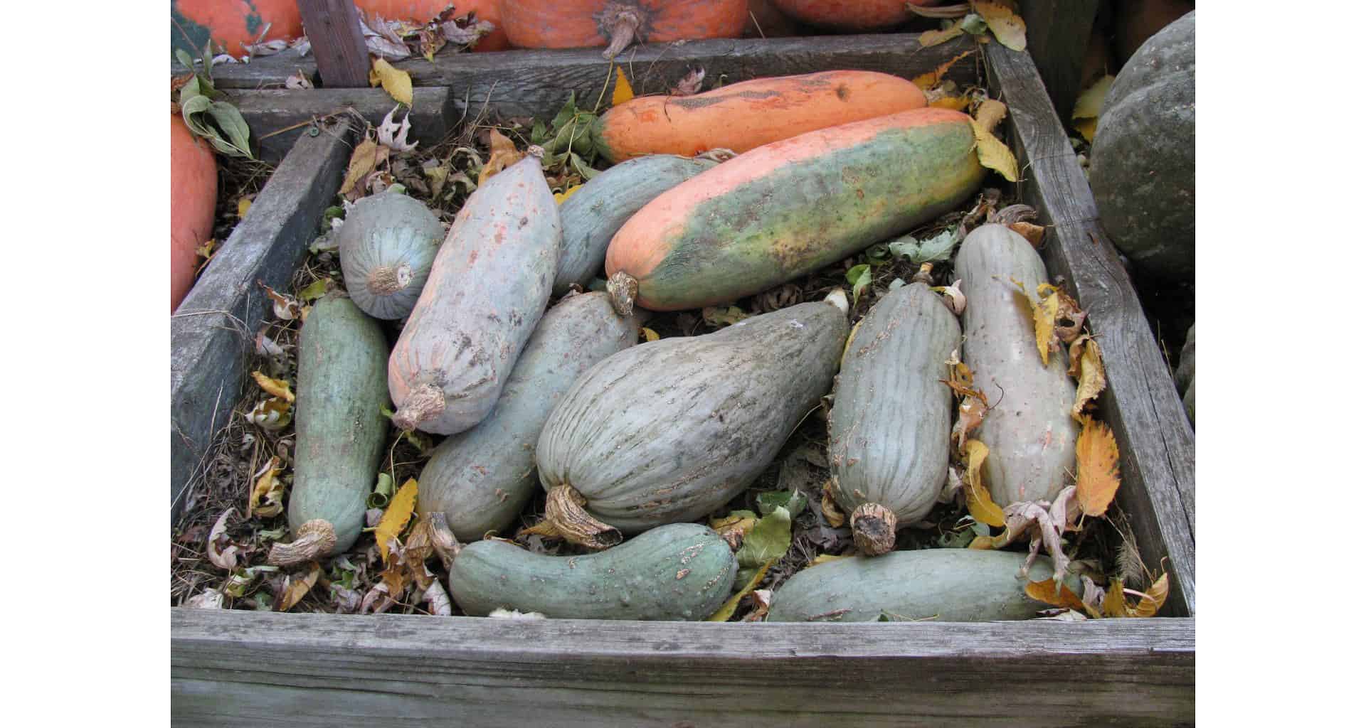 25 Popular Foods That Are Gray - Practical Cooks