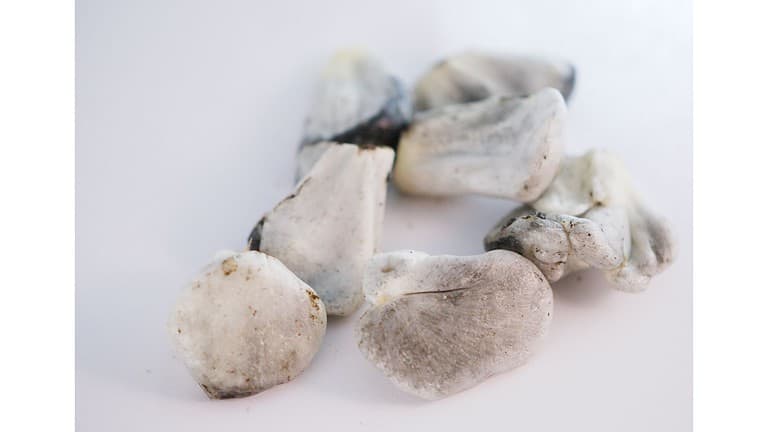 25 Popular Foods That Are Gray - Practical Cooks