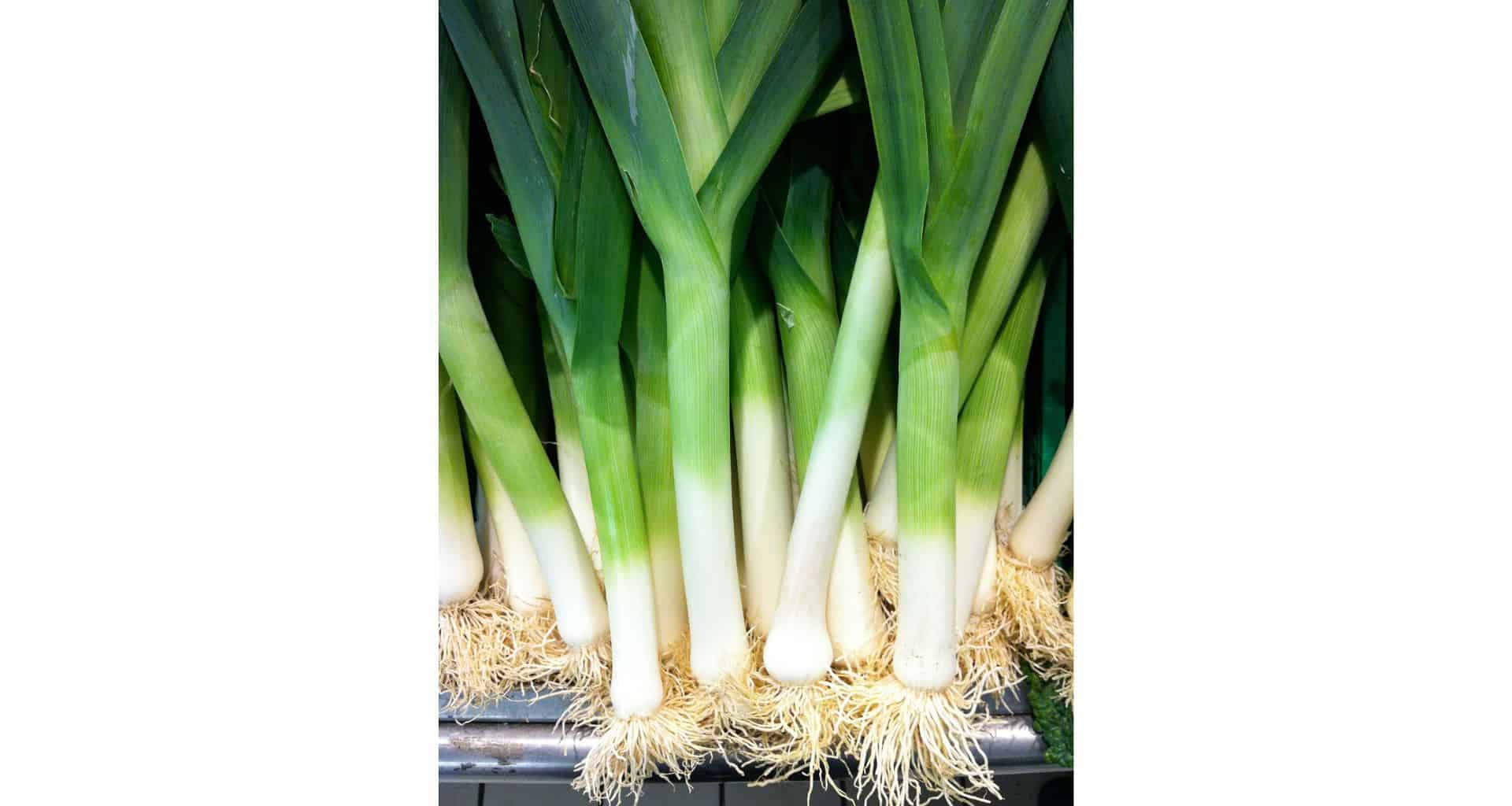 39 Foods With Four Letters - Practical Cooks