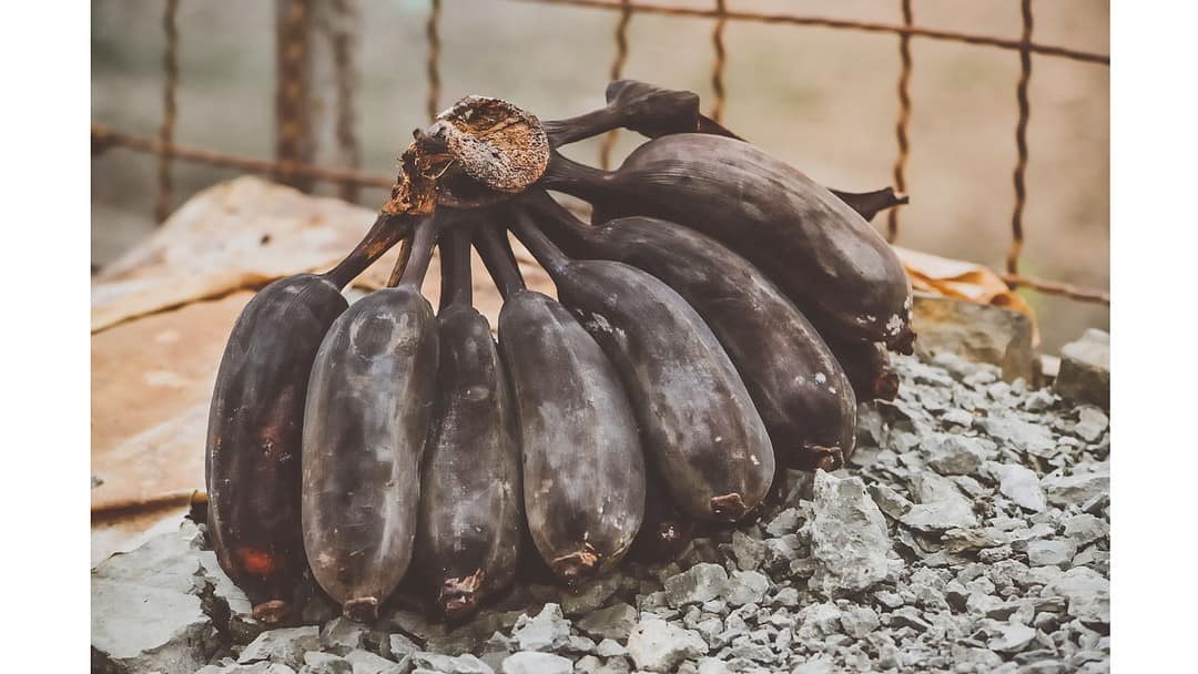 Is It Safe To Eat Black Bananas? - Practical Cooks