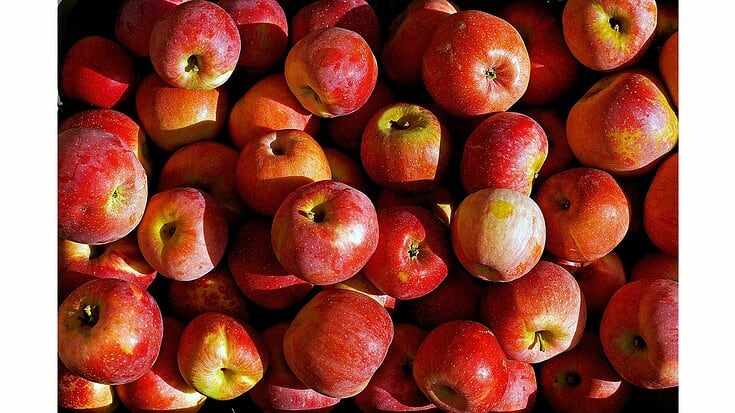 Why Do Apples Make You Hungry? - Practical Cooks