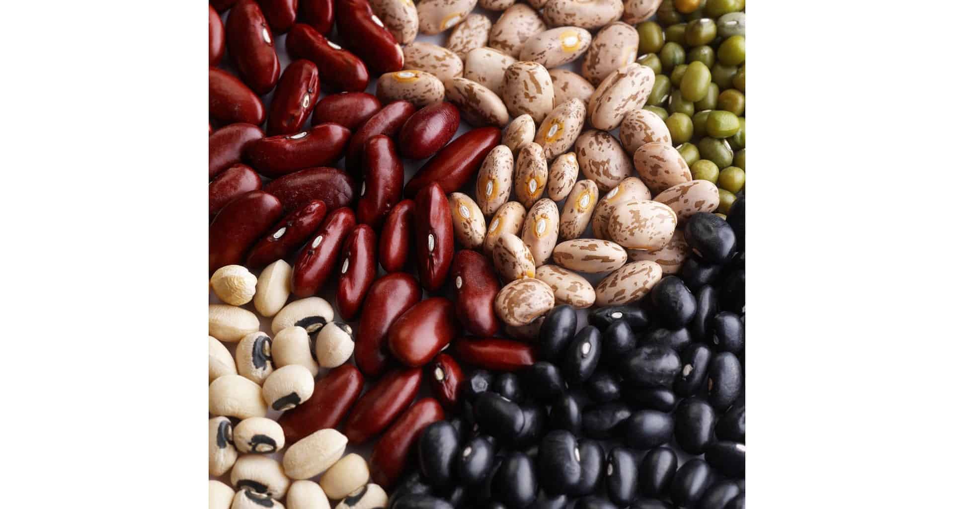 37 Foods That Start With B (Great for Quizzes) - Practical Cooks