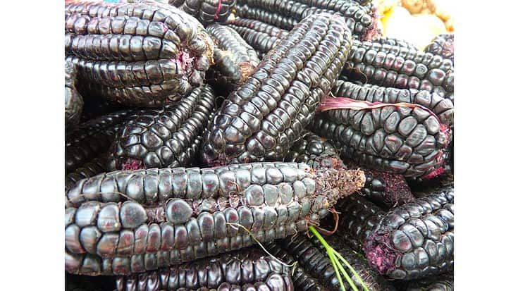 19 Foods That Are Black - Practical Cooks