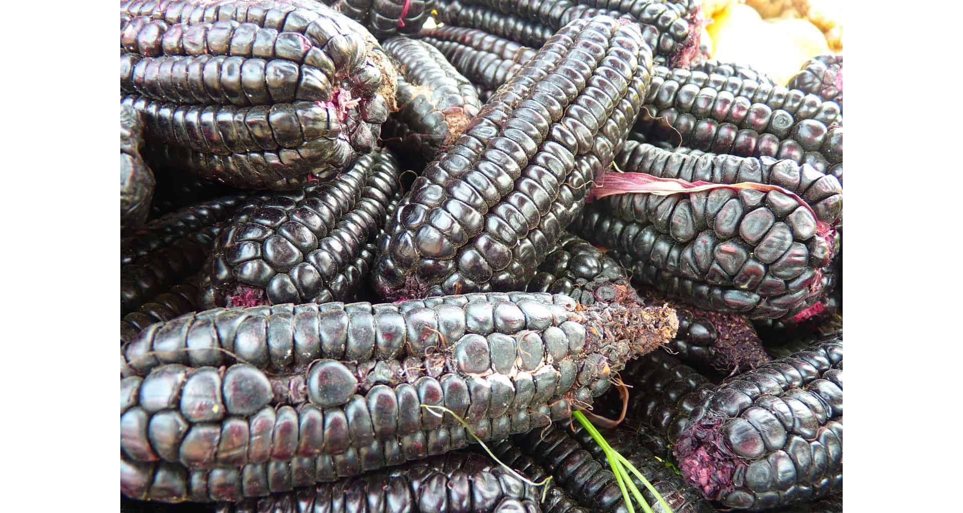 19 Foods That Are Black - Practical Cooks