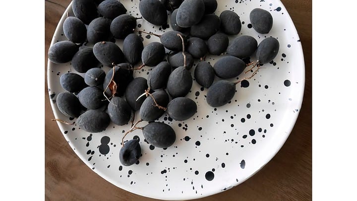 19 Foods That Are Black - Practical Cooks