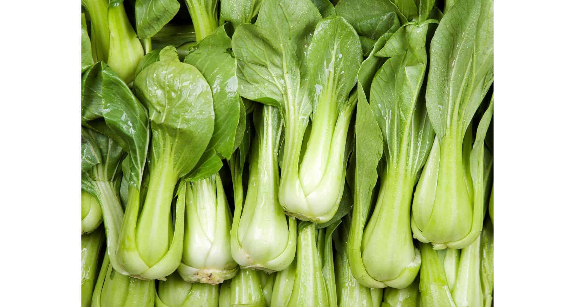 How Do You Cut Bok Choy for Ramen? - Practical Cooks