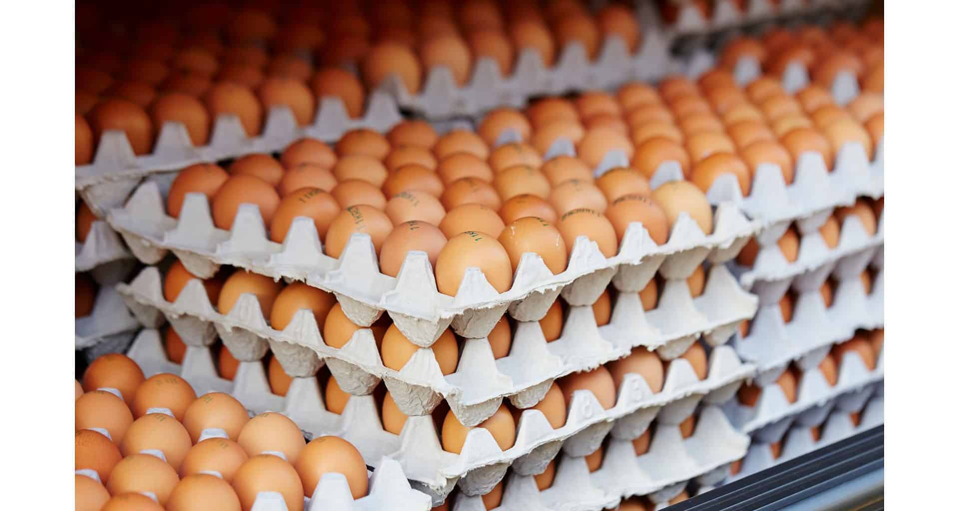 Left Eggs in Car Overnight - Are They OK? - Practical Cooks