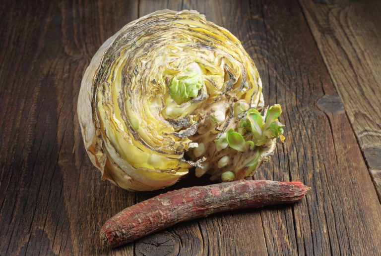 Can You Eat Cabbage Raw? (What Are The Benefits?) - Practical Cooks