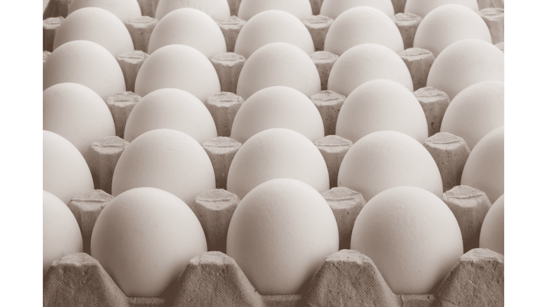 Do Egg Whites Expire Or Go Bad? - Practical Cooks