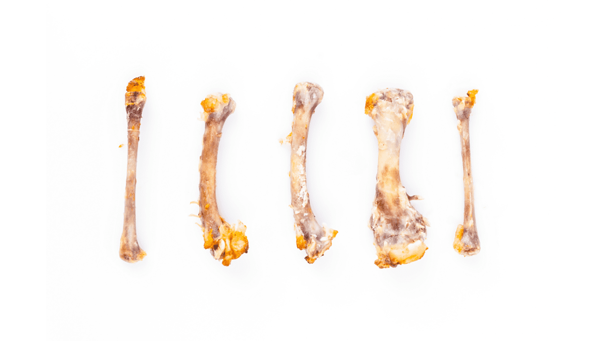 Can You Eat Chicken Bones? (Are There Benefits?) - Practical Cooks