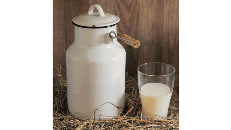 How Long Can Milk Stay Fresh in a Car? - Practical Cooks