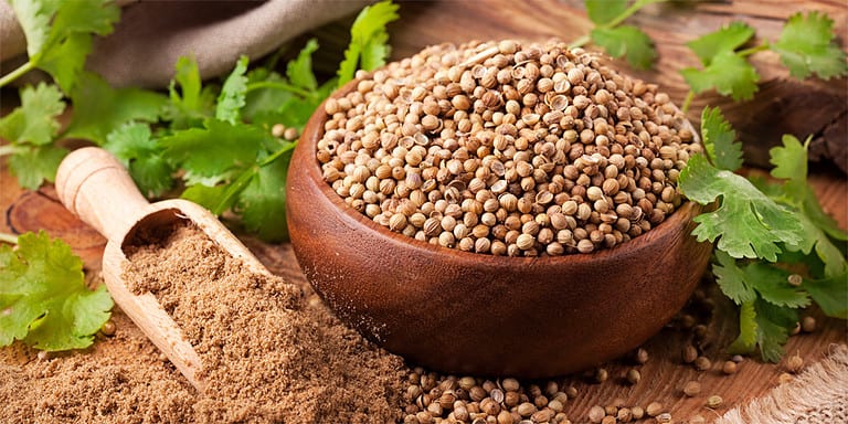 How Much Is A Bunch Of Coriander? - Practical Cooks