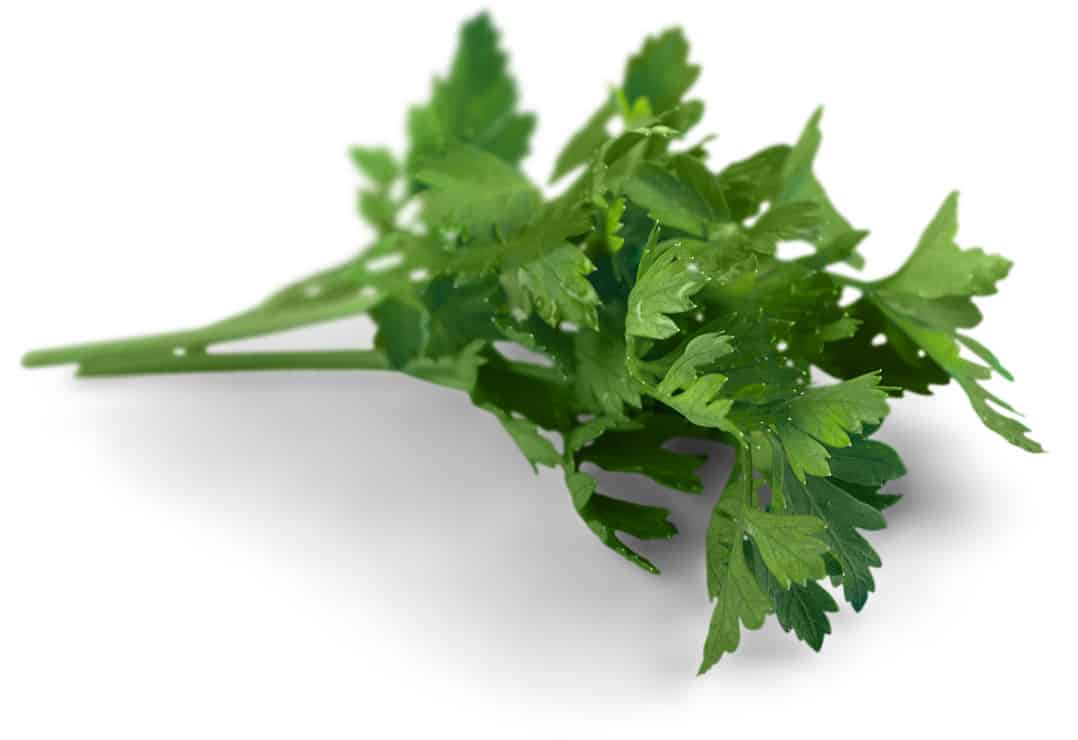 How Much is a Bunch of Parsley - Practical Cooks