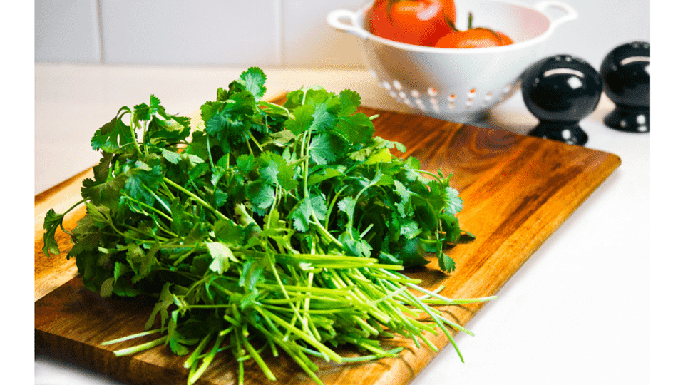 How Much is a Bunch of Cilantro? - Practical Cooks