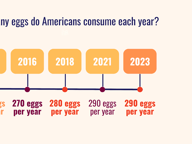 How Many Eggs Does An American Consume in a Year? - Practical Cooks